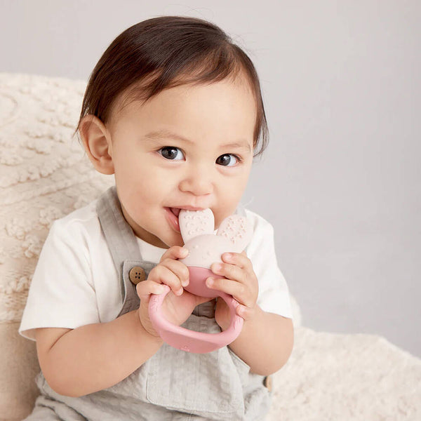 B.Box Chill + Fill Teether Blush | Baby Village