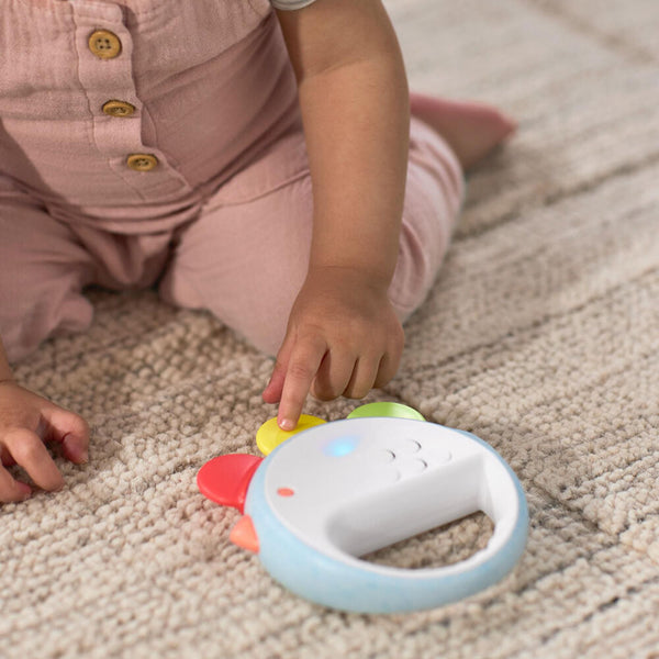 Skip Hop Feelin' Clucky Musical Tambourine | Baby Village